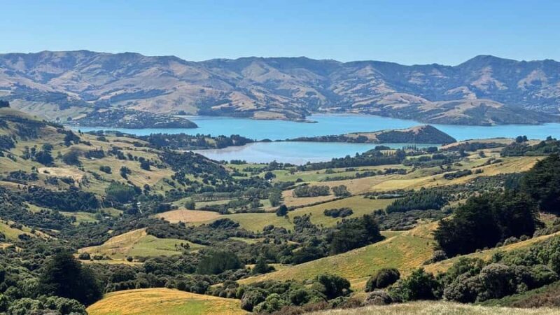 Akaroa Day Tour From Christchurch - The Sum Up