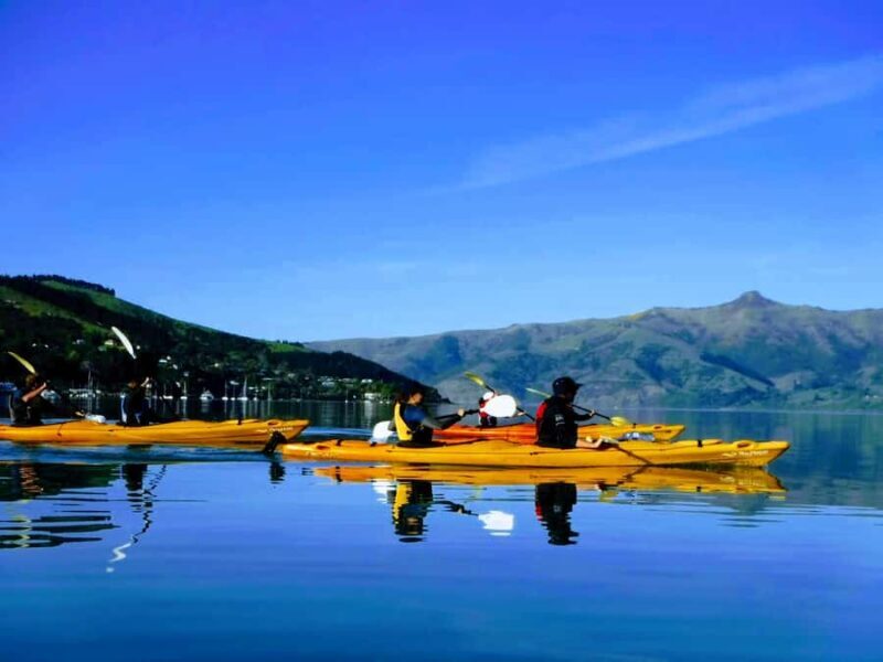 Akaroa: Electric Mountain Bike and Sea Kayak Adventure - The E-Bike Experience