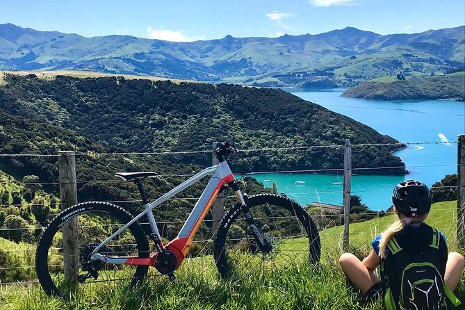 Akaroa Explorer- Guided Electric Bike Tour in Akaroa - Who Should Consider This Tour?