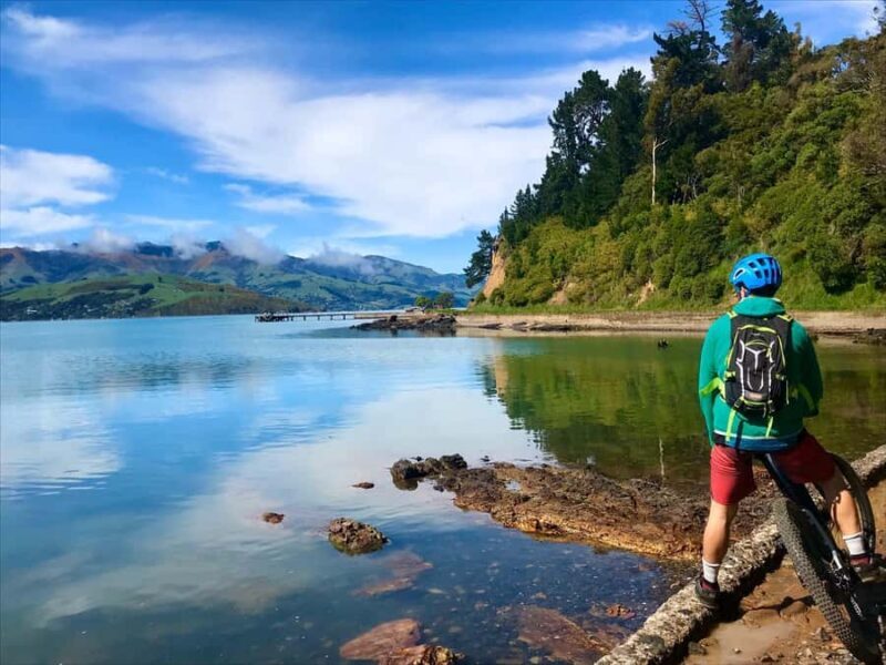 Akaroa Explorer: Guided Electric Mountain Bike Tour - Authentic Experiences and Real-World Insights