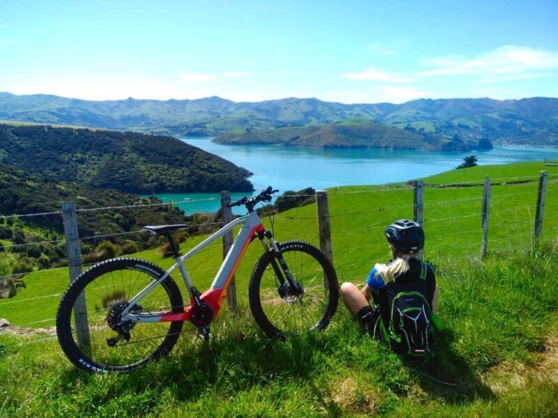 Akaroa Explorer: Guided Electric Mountain Bike Tour - Final Thoughts