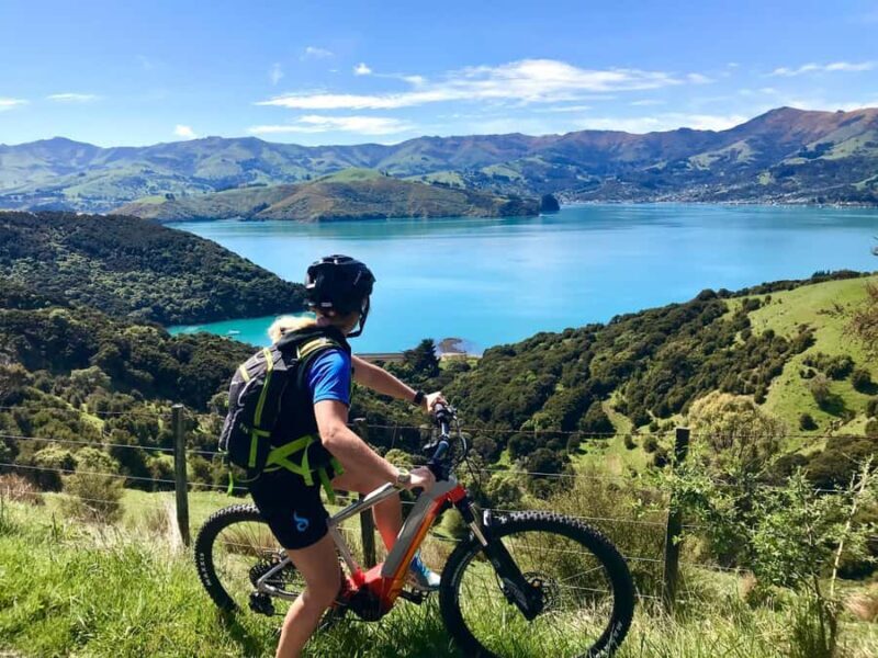 Akaroa Explorer: Guided Electric Mountain Bike Tour - FAQ