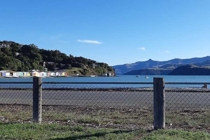 Akaroa & Giants House Garden tour ex Lyttelton (Shore Excursion) - Authentic Insights from Reviews