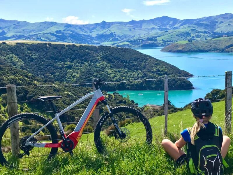 Akaroa: Guided Electric Mountain Bike Tour-Lava Loop - Key Points