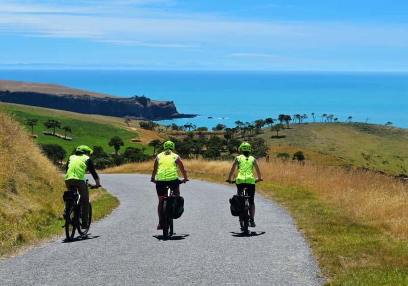 Akaroa: Guided Electric Mountain Bike Tour-Lava Loop - A Deep Dive into the Lava Loop Experience