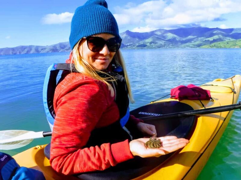 Akaroa: Guided Sunrise Sea Kayaking Tour - Frequently Asked Questions