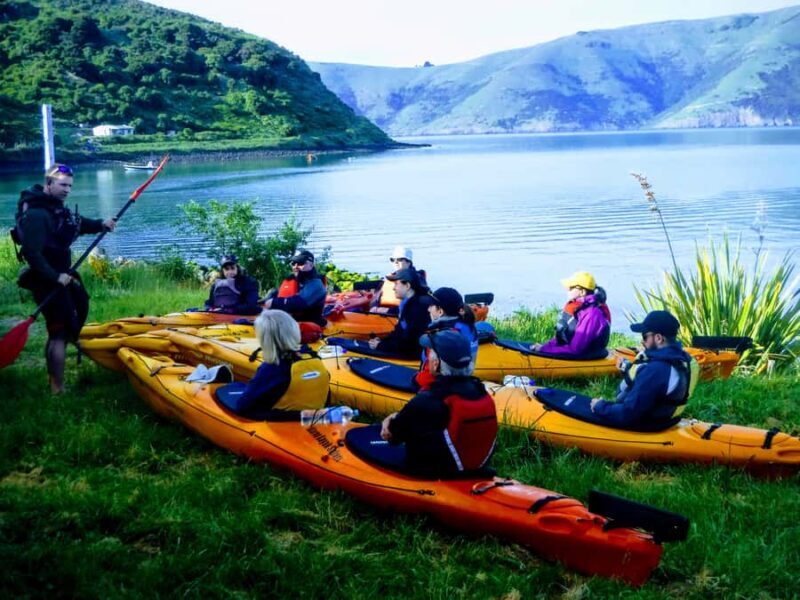 Akaroa: Guided Sunrise Sea Kayaking Tour - Wrapping It Up