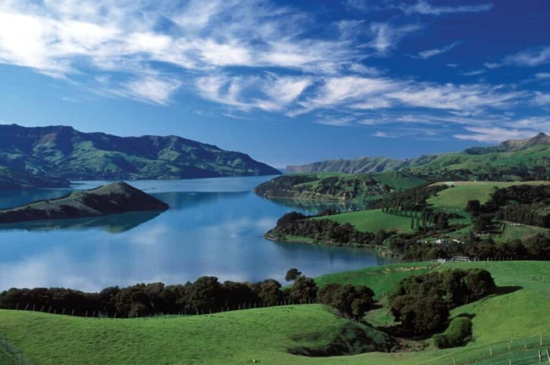 Akaroa Harbour 2-Hour Dolphin Nature Cruise - Who Will Love This Tour?  