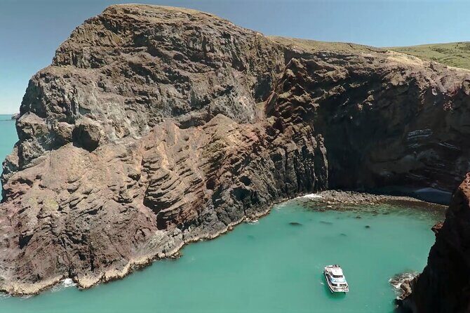 Akaroa Harbour Nature Cruise - Key Points