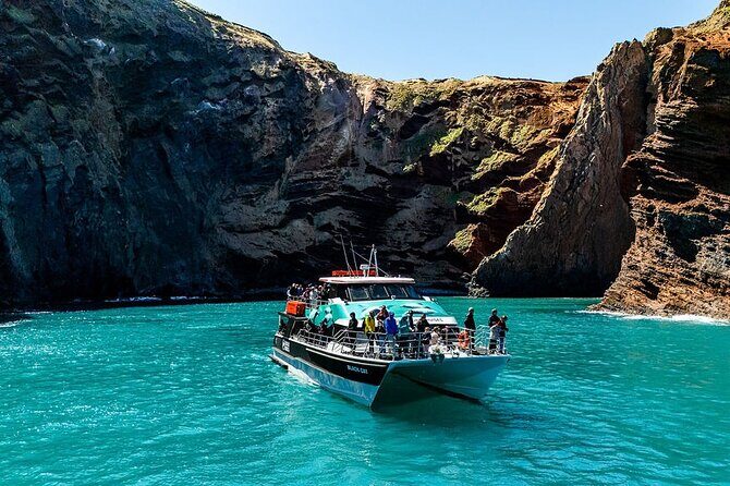Akaroa Harbour Nature Cruise - Setting the Scene: What to Expect on the Cruise