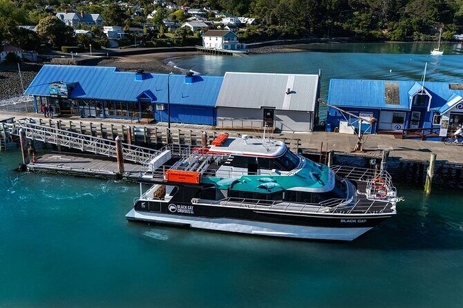 Akaroa Harbour Nature Cruise - The Authentic Experience: Wildlife and Landscape