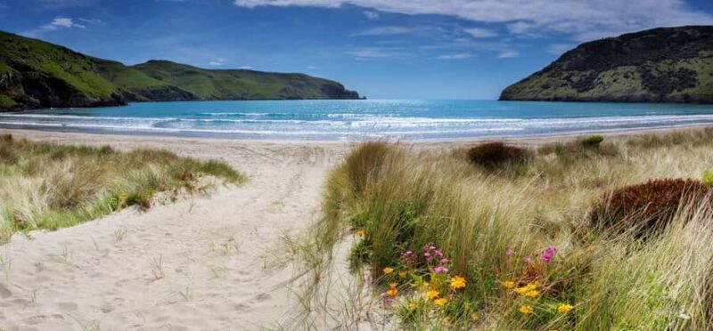 Akaroa: Lonely Beach Trail by E-Scooter. selfguided day out - Exploring Akaroa’s Lonely Beach Trail by E-Scooter: A Practical and Authentic Day Out