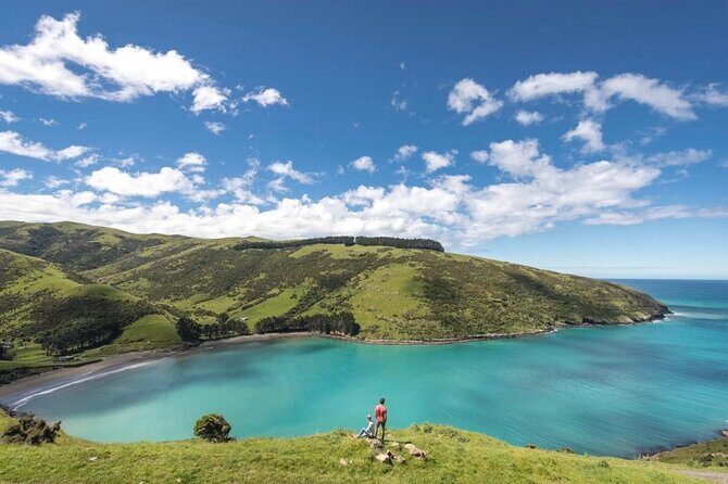 Akaroa Private Day Tour from Christchurch - What Makes This Tour Special?