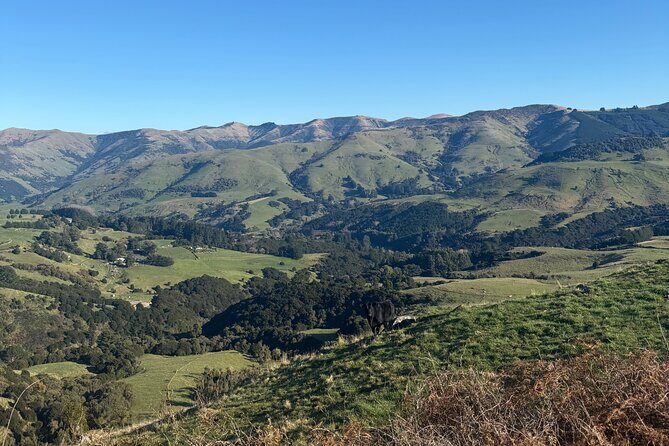 Akaroa Private Day Tour from Christchurch - Cost and What You’re Getting