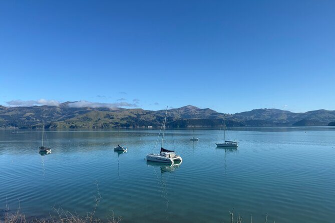 Akaroa Private Day Tour from Christchurch - FAQ