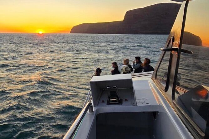 Akaroa Private Day Trip From Christchurch - Authentic Experiences as Reported by Travelers