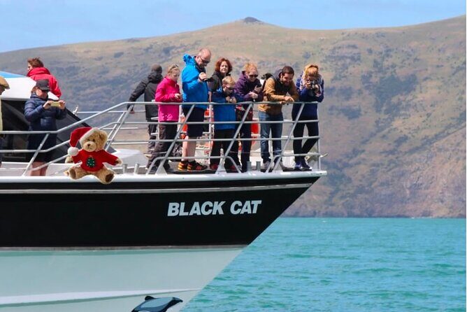 Akaroa Private Day Trip From Christchurch - The Sum Up: Is This Tour Right for You?