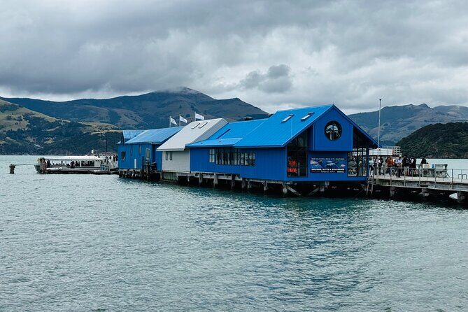 Akaroa Private Group Day Trip from Christchurch - A Close Look at the Itinerary