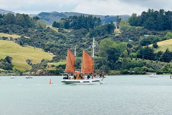 Akaroa Private Group Day Trip from Christchurch - Why This Tour Works