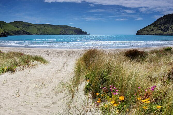 Akaroa Self Guided Electric Scooter Tour - What You Can Expect at Each Stop