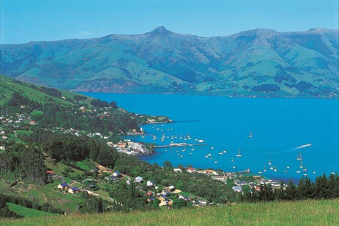 Akaroa Shore Excursion: Akaroa Harbour and Sheep Farm Local Tour - A Closer Look at the Itinerary and Experience