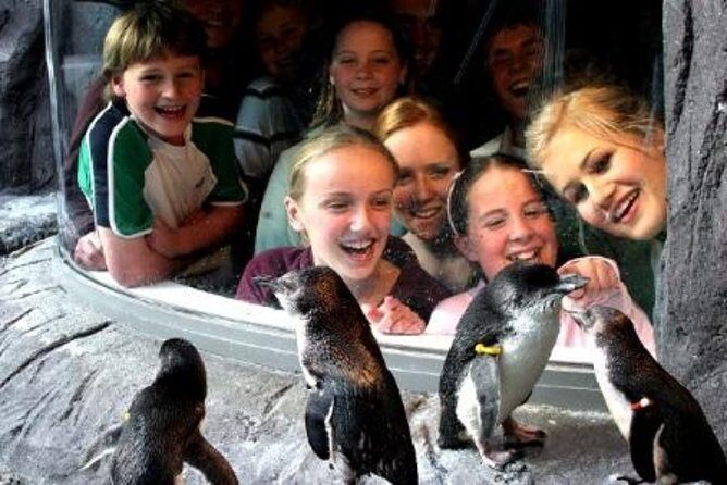 Akaroa Shore Excursion: Banks Peninsula, Christchurch City Tour and the International Antarctic Centre - Final Words