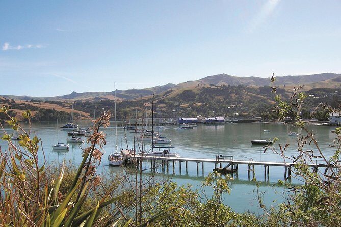 Akaroa Shore Excursion: Banks Peninsula, Christchurch City Tour and Willowbank Wildlife Reserve - How to Make the Most of This Tour