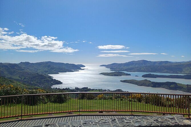 Akaroa with optional dolphin cruise (Small Group Tour) - An In-Depth Review of the Akaroa Small Group Tour