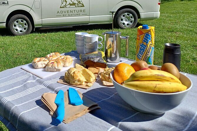 Akaroa with optional dolphin cruise (Small Group Tour) - Final Thoughts: Is This Tour Worth It?