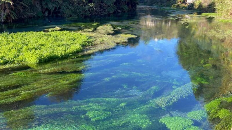 AKL: TE PUIA w buffet, Poly'sian Spa & Blue Springs Day Tour - Key Points