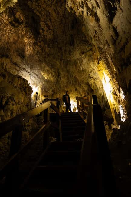 AKL: WAITOMO Glowworm, KIWI Bird, LUNCH & Hamilton Gardens - Who Would Love This Tour?