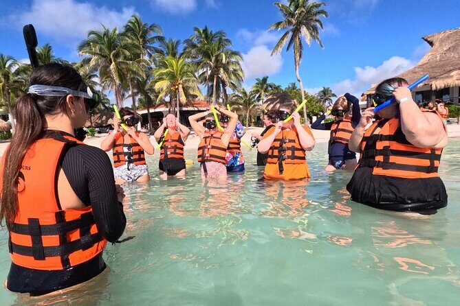 Akumal Adventure with Swimming with Turtles, Cenotes, Mexican Lunch. - A Complete Breakdown of the Experience