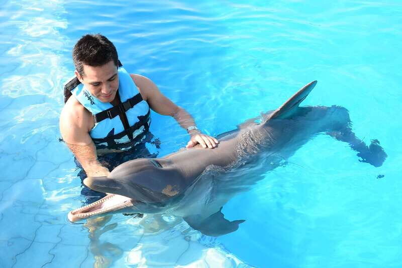 Akumal: Dolphin Encounter - What to Expect at the Dolphin Encounter