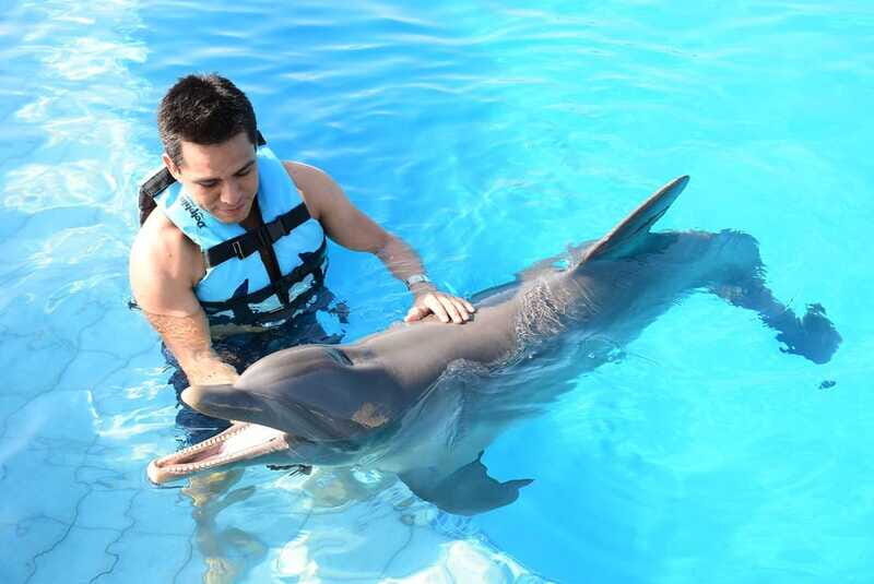 Akumal: Dolphin Encounter - The Surroundings of Akumal