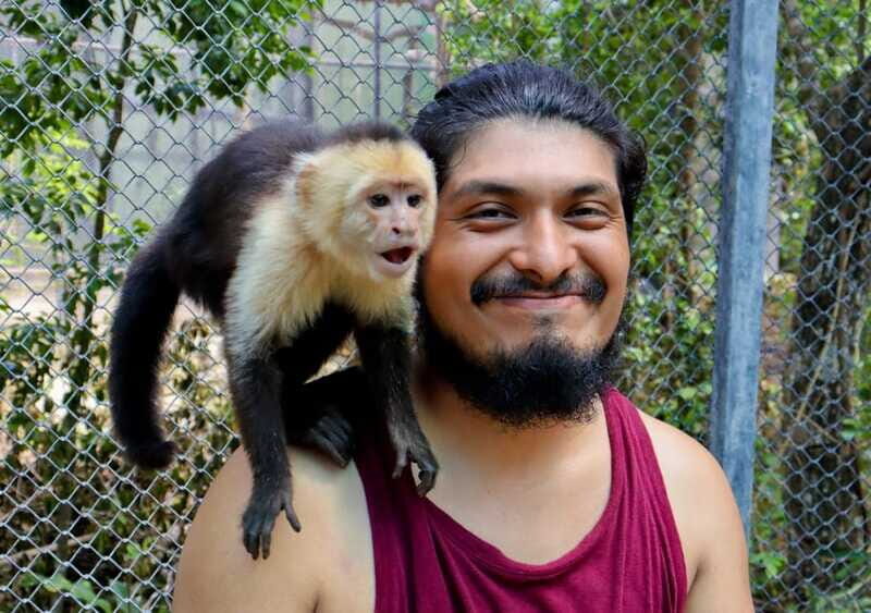 Akumal: Explore the Monkey Sanctuary, ATV Circuit and Cenote - An Authentic Day in Akumal: Wildlife, Adventure, and Natural Splendors