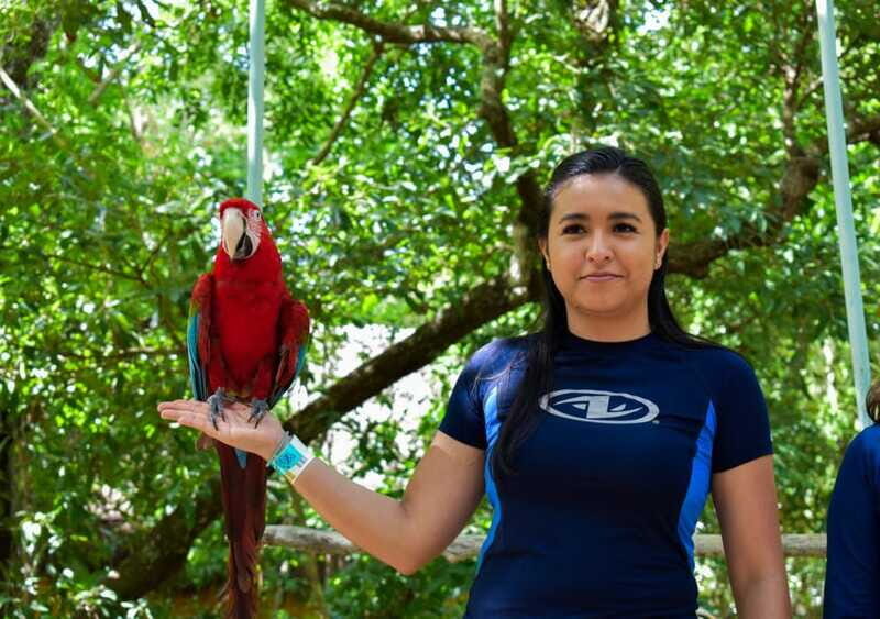 Akumal: Monkey Sanctuary, ATV, Cenote, & Yalku Snorkel Tour - Key Points