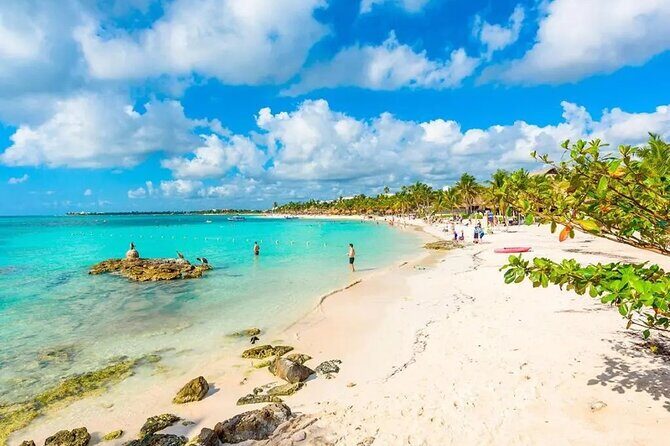 Akumal Reef Snorkel and Turtle Sanctuary From Riviera Maya - Final Thoughts: Is This Tour Worth It?