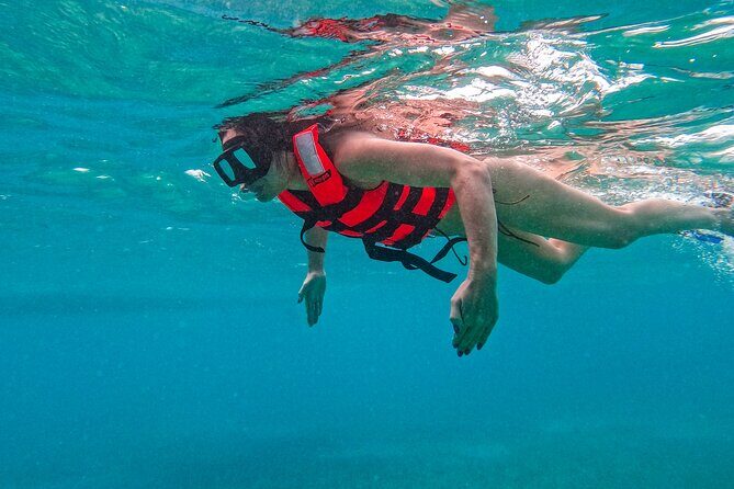 Akumal Snorkeling With Turtles - Authentic Encounters: What Reviewers Say