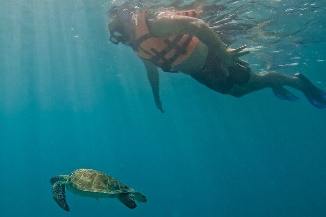 Akumal Snorkeling With Turtles - The Sum Up: Who Should Book This Tour?