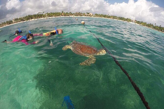 Akumal turtles sanctuary and go pro photos - Frequently Asked Questions