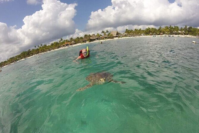Akumal turtles sanctuary and go pro photos - Final Thoughts