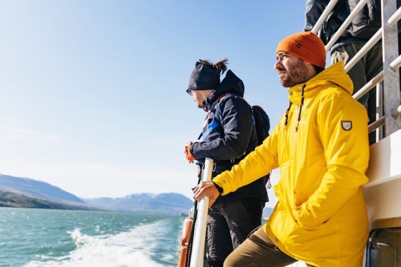 Akureyri: 3-Hour Classic Whale Watching Tour by Ship - Key Points