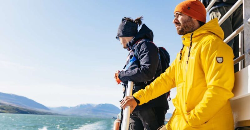 Akureyri: 3-Hour Classic Whale Watching Tour by Ship - The Sum Up