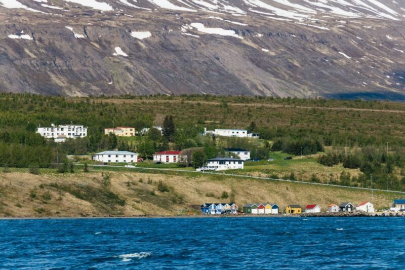 Akureyri: 3-Hour Classic Whale Watching Tour by Ship - FAQs