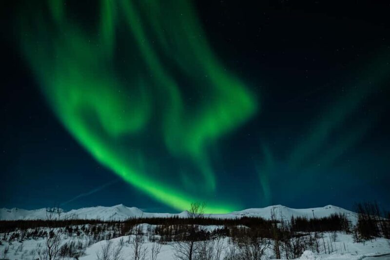 Akureyri: Northern Lights Tour - Why Choose the Akureyri Northern Lights Tour?  