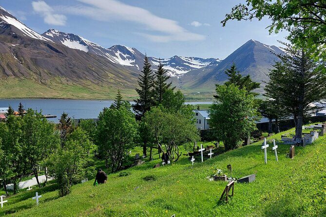 Akureyri Siglufjörður Half Day Tour to the Arctic Coastline - Introducing the Akureyri Siglufjörður Half Day Tour to the Arctic Coastline