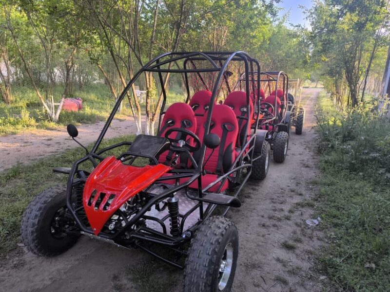 Alanya Buggy Safari: Thrill by River & Muddy Forest - Practical Tips for Your Safari