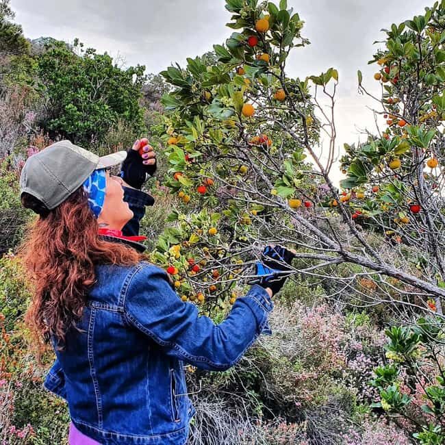 Alanya: Full-Day City Tour Lnch in Dimçay River & Boat Trip - An In-Depth Look at the Tour