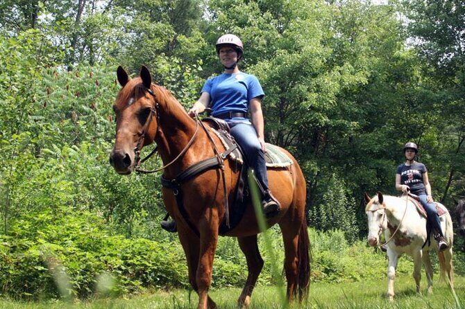 Alanya Horse Riding Experience With Free Hotel Transfer - FAQ: Practical Questions About the Tour