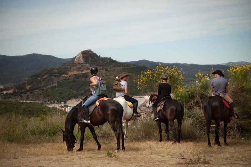 Alanya: Horse Riding Tour with Hotel Transfers - The Horses and Guides